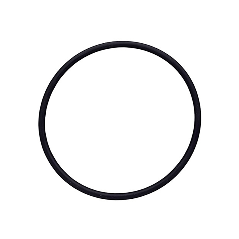 Anillo Oring Caneca P/ Bomba Sub. 650 (509) Trompito | SiderAgro S.A.